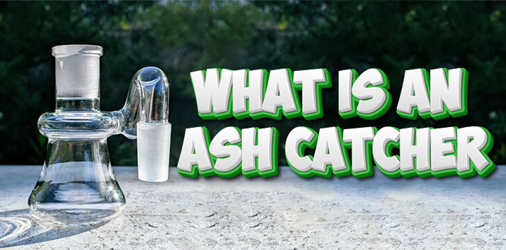 Ash Catcher 101: What Are They And How Do They Work? – Honeybee Herb