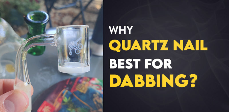 Newbie's Dabbing Guide & What Shouldn't Do? - Honeybee Herb